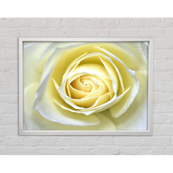 Ebern Designs Zarte Eleganz - Einzelner Bilderrahmen Kunstdrucke auf Leinwand | Wayfair.de